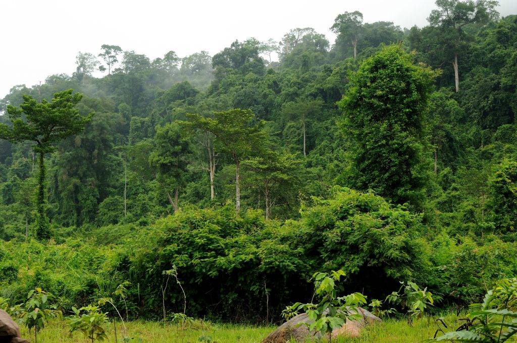 Botum-Sakor National Park - Travelmarbles