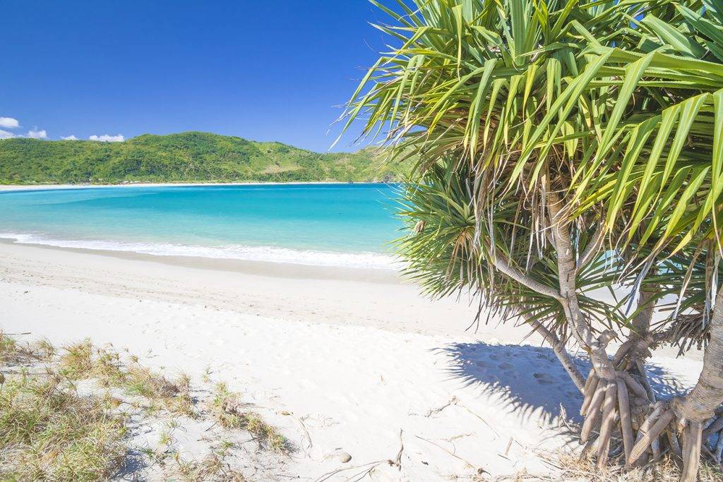 10 EXCITING THINGS TO DO IN SUMBAWA - Travelmarbles